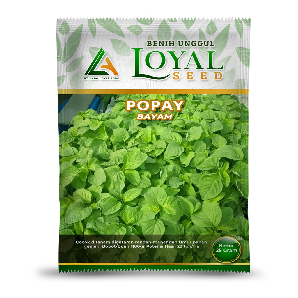 Jual BENIH BAYAM HIJAU / BIBIT BAYAM HIJAU POPAY CAP LOYAL SEED KEMASAN ...