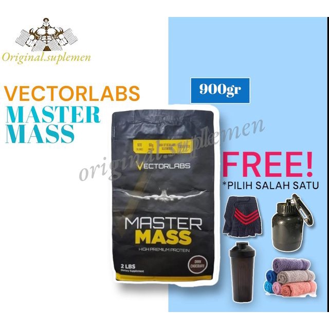 Jual VECTORLABS MASTER MASS 2 lbs Gainer Vector Lab MASTERMASS 2 lb ...