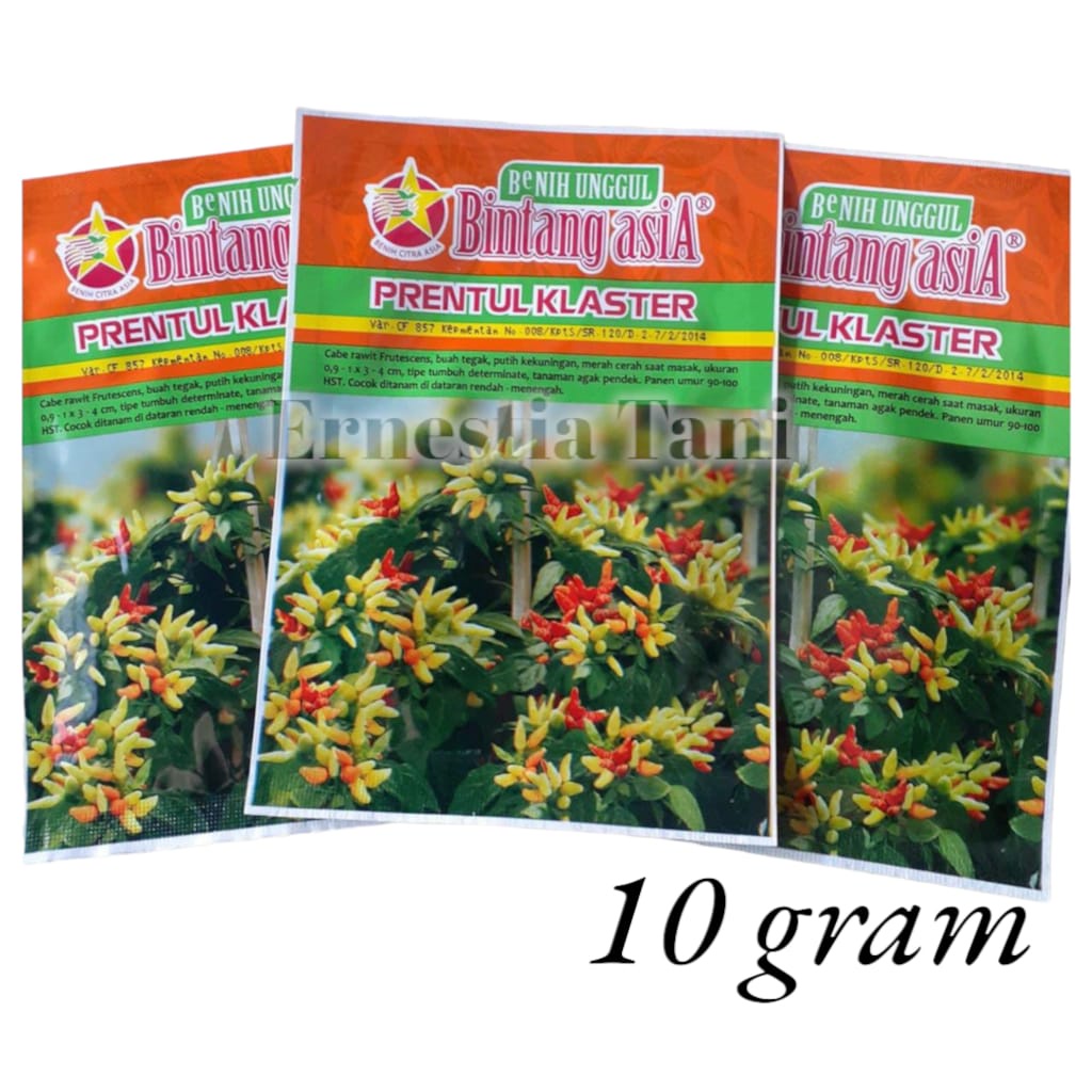 Jual Benih Bibit Cabe Rawit Prentul klaster 10gr Bintang Asia | Shopee ...