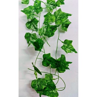 Jual Artificial Daun Rambat Decoration Dekorasi Hiasan Hias Segar ...
