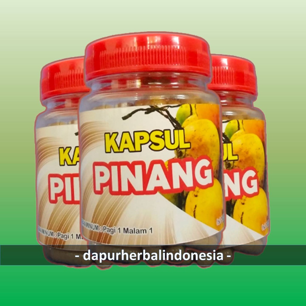 Jual PINANG - PINANG MUDA - JAMBE ( ISI 100 KAPSUL ) | Shopee Indonesia