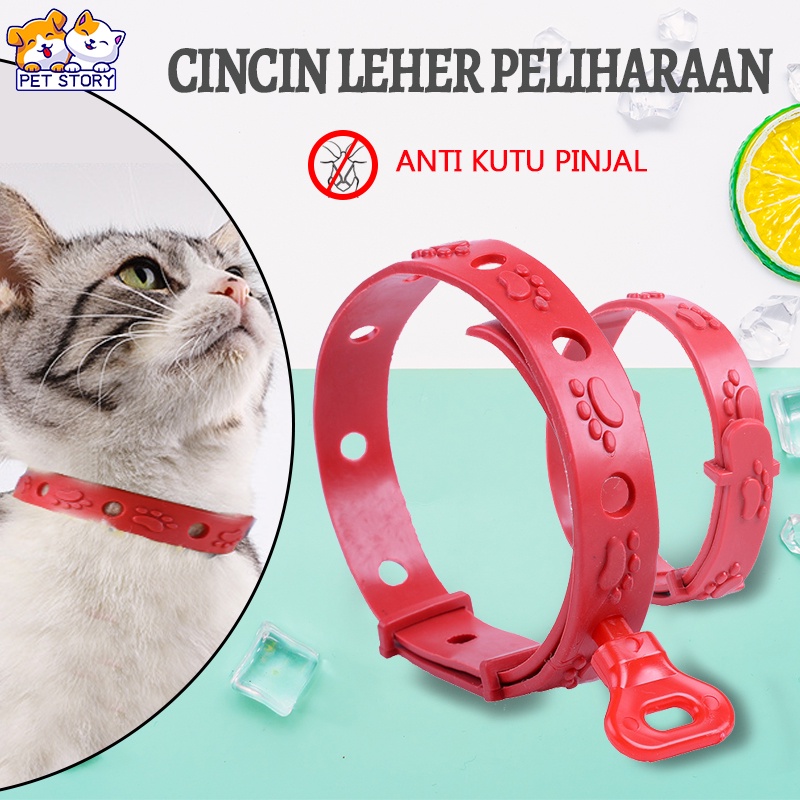 Jual Kalung Kucing Anti Kutu Pinjal Aksesoris Kalung Untuk Hewan ...