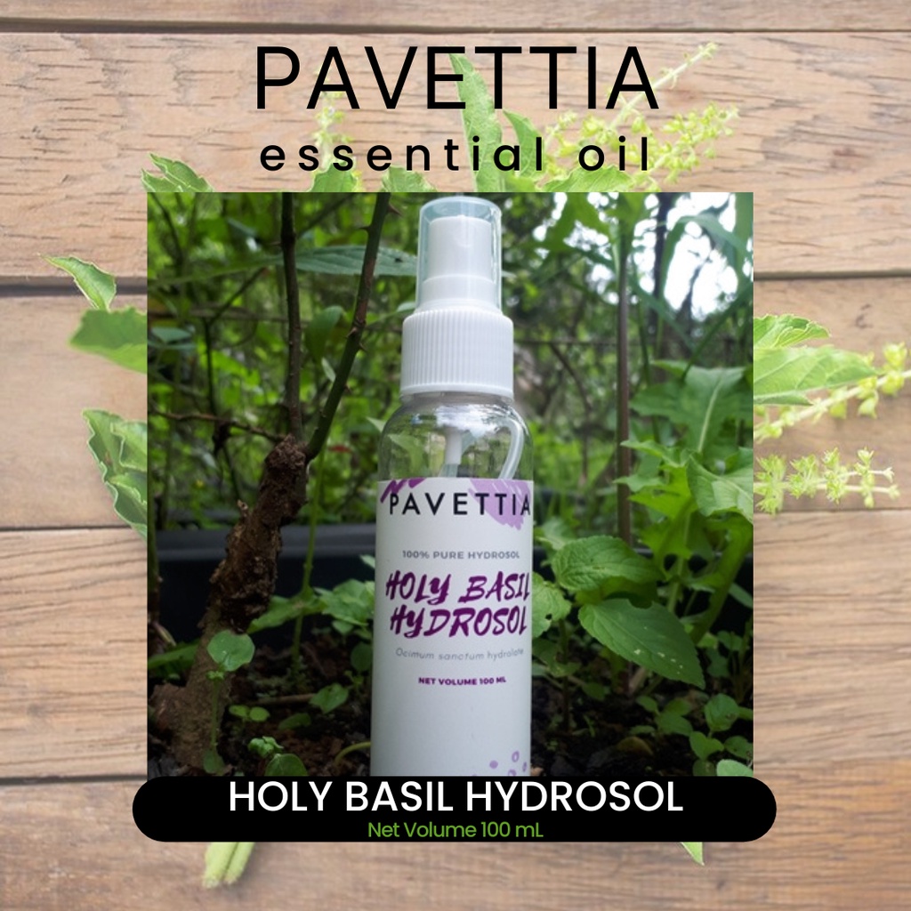 Jual Sample hydrosol 100 ml - Holy basil hydrosol - hidrosol ruku-ruku ...