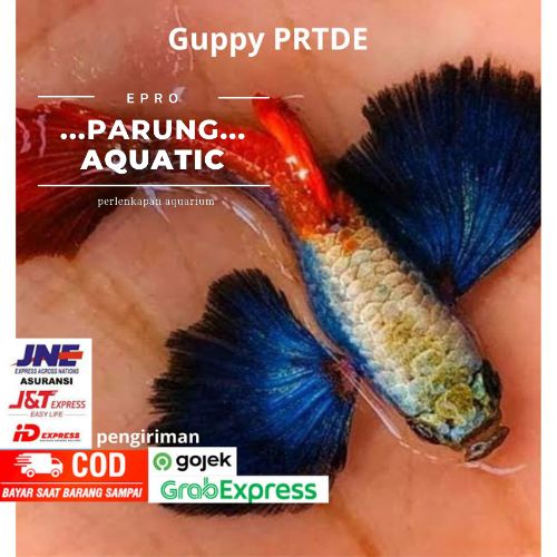 Jual Bubble warp tambahan packing(gapi prtde) | Shopee Indonesia