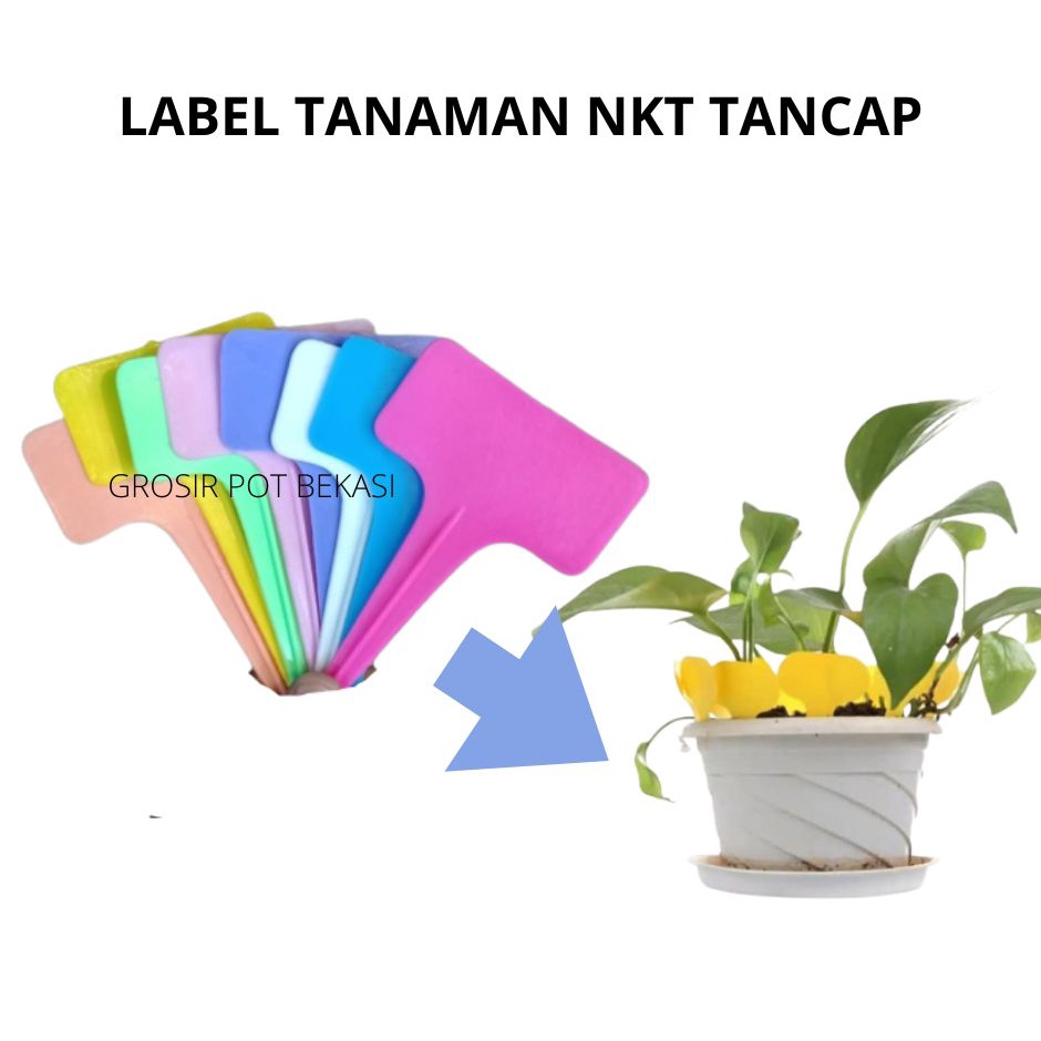 Jual NKT Label tanaman tancap , label nama tanaman warna, label murah, eceran | Shopee Indonesia