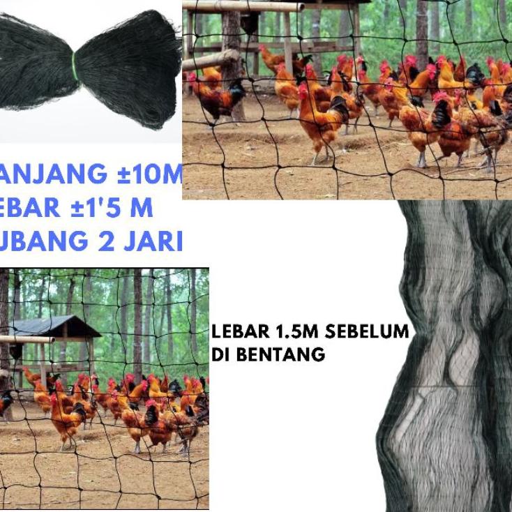 Jual JARING AYAM JARING PAGAR AYAM JARING PAGAR KEBUN PAGAR KOLAM JARING TANAMAN [AUS.11Ma23 ...