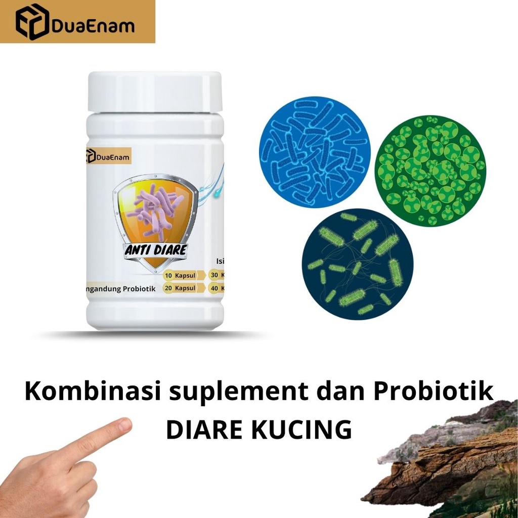 Jual DUAENAM SUPLEMENT ANTI DIARE KITTEN 10 kapsul obat mencret lemas ...