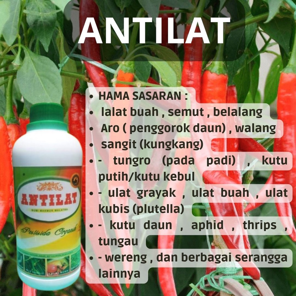 Jual Antilat Obat insektisida racun pengusir hama lalat obat lalat buah ...
