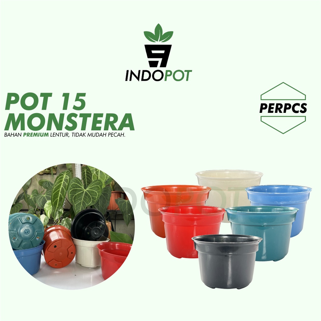 Jual Pot 15 Merk Monstera Berbagai Macam Ukuran Pot 15cm - M15 | Shopee ...