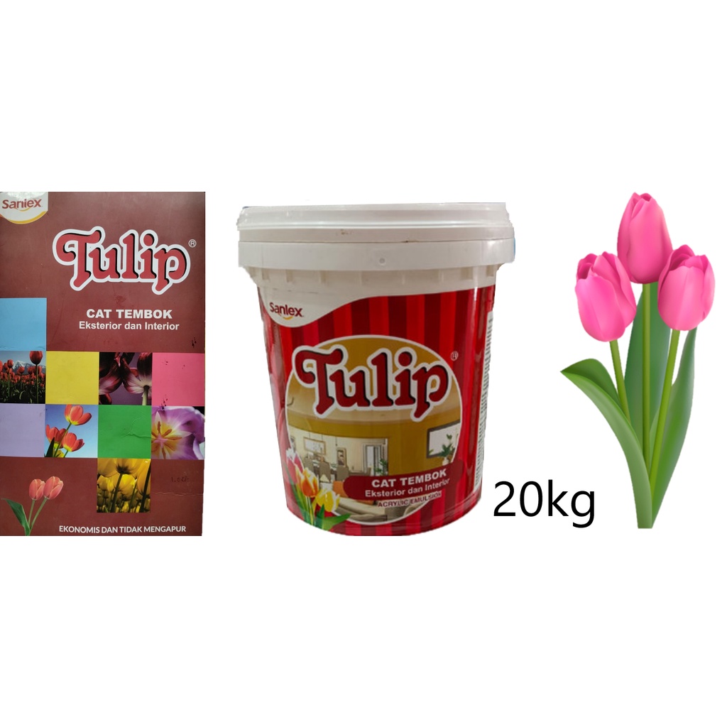 Jual CAT TEMBOK TULIP Paint Exterior & Interior PAIL 20Kg | Shopee ...