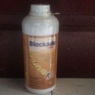 Jual Blockade 100EC isi 1L Basmi Rayap Tuntas dan Proteksi Jangka ...
