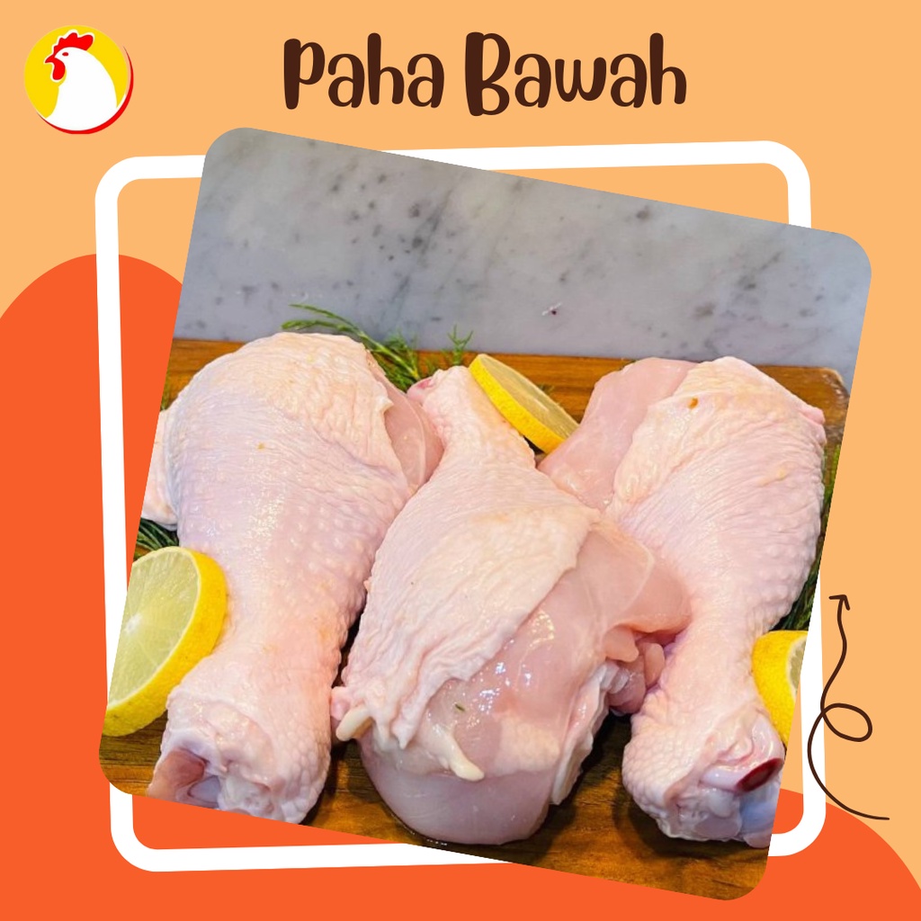 Jual Paha Bawah | Paha Pelentung | Drumstick 1Kg | Shopee Indonesia