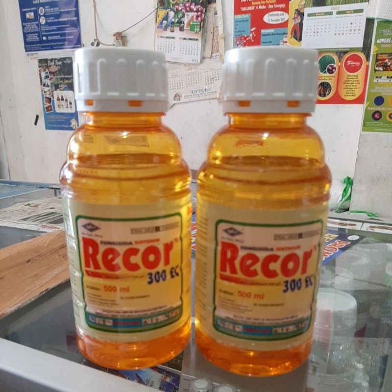Jual recor 300ec | Shopee Indonesia