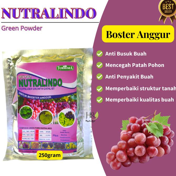 Jual PUPUK ORGANIK BOOSTER PELEBAT BUAH ANGGUR, PUPUK PENYUBUR ANGGUR GPN DISTRIBUTOR PUPUK ...