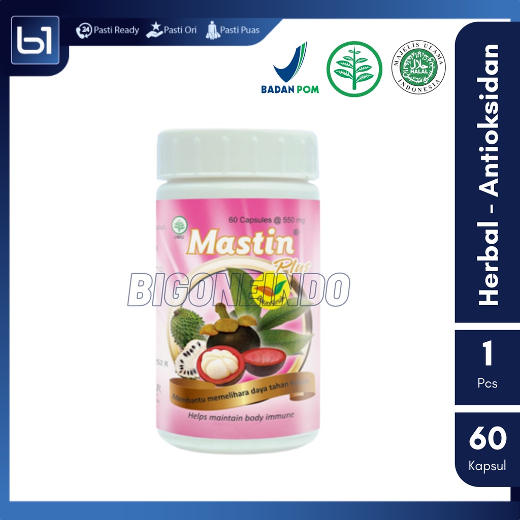 Jual Mastin Plus, Borobudur Herbal MASTIN PLUS Suplemen 60 Kapsul ...