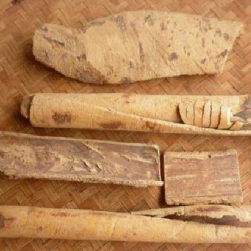 Jual Kulit Kayu Pule Kering 1kg / Kulit Batang Kayu Pule Kering ...