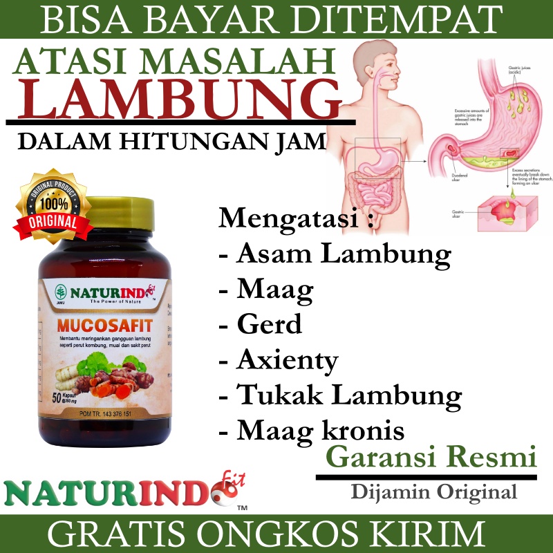Jual Mucosafit Obat Asam Lambung Gerd Magh Mual Kembung 50 Kapsul ...