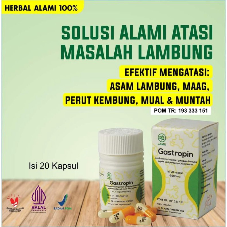 Jual Gastropin kapsul obat herbal maag krosis akut gerd radang usus ...