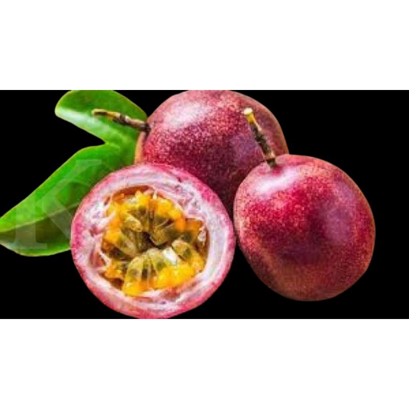 Jual Markisa Ungu Segar Langsung Petik Dari pohonya 1kg | Shopee Indonesia