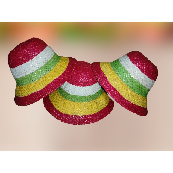 Jual TOPI KUPLUK ANYAMAN PANDAN PELANGI | Shopee Indonesia
