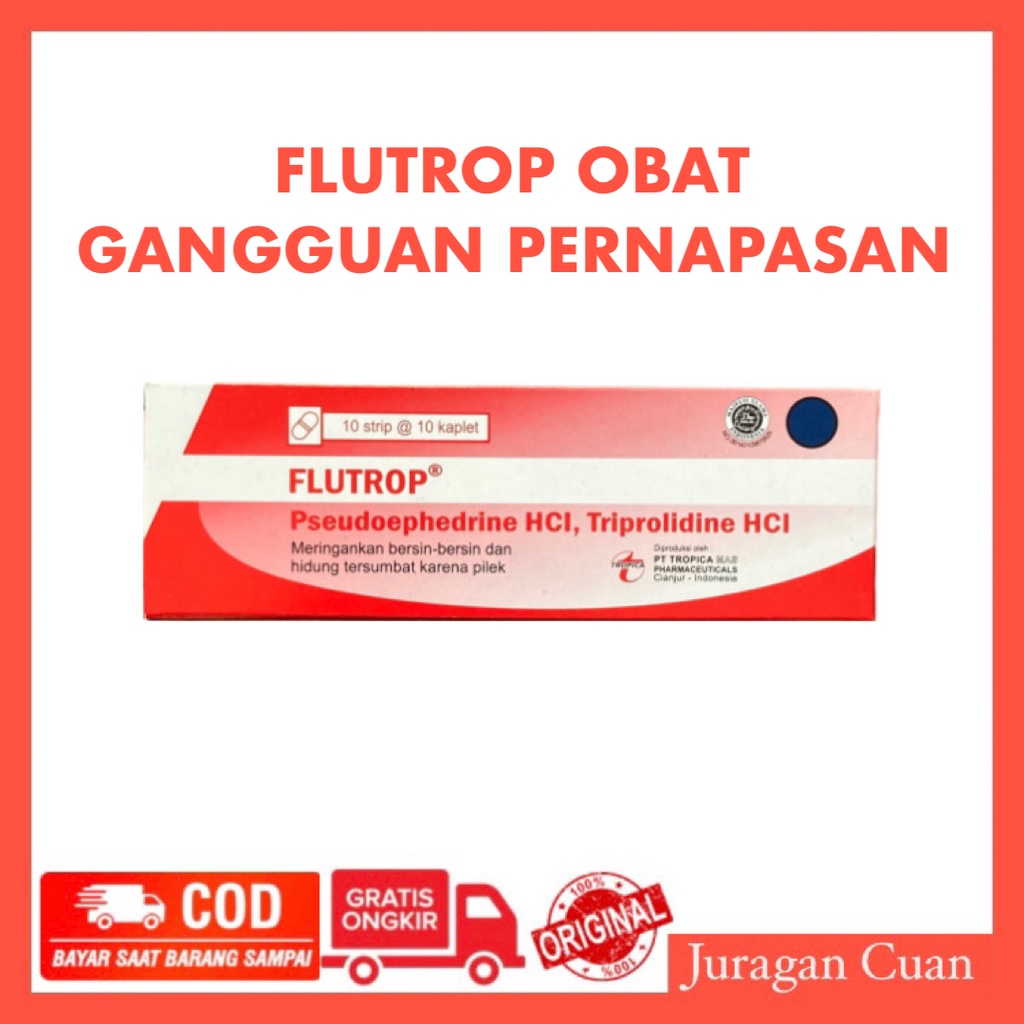 Jual FLUTROP OBAT PILEK FLU 1 STRIP ISI 10 TABLET | Shopee Indonesia