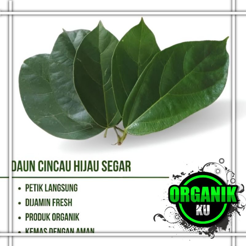 Jual Daun cincau hijau organik minuman herbal paket hemat | Shopee ...