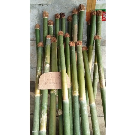 Jual obor bambu lentera bambu lengkap dengan sumbu nya | Shopee Indonesia