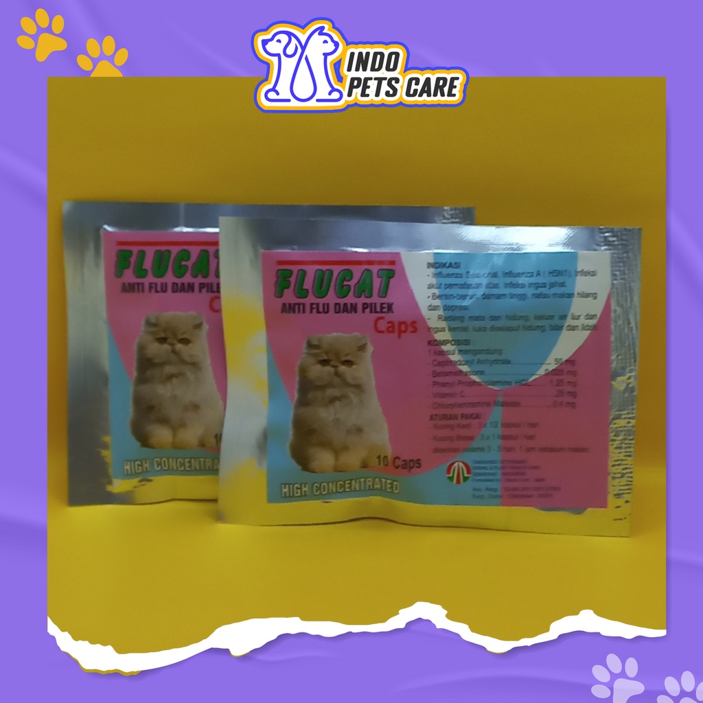 Jual MENGOBATI FLU KUCING - FLU CAT 10 CAPSULE - KAPSUL UNTUK FLU ...
