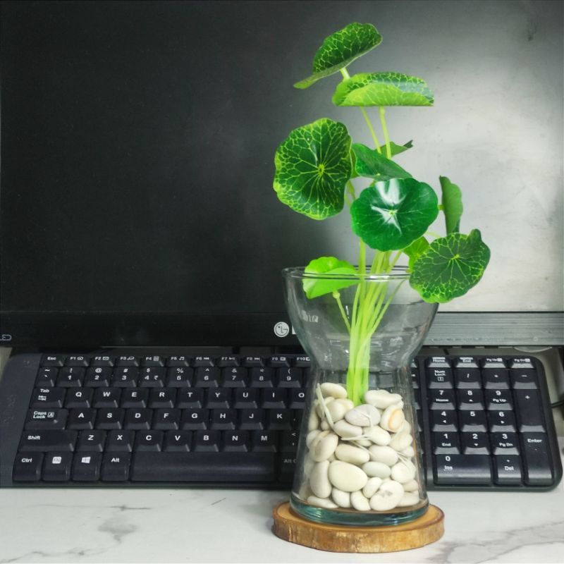 Jual Vas Bunga Kaca Bening Unik Aesthetic / Pot Kaca Tanaman Air ...