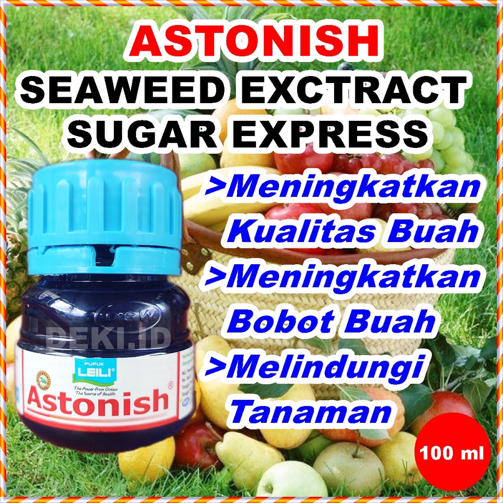 Jual Astonish 100 ml Pupuk Ekstrak Rumput Laut Seaweed Extract Sugar ...