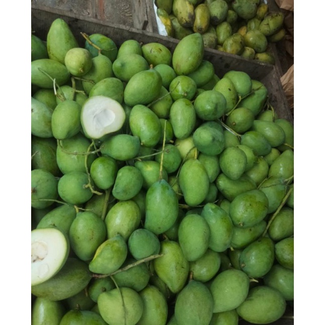 Jual Mangga Muda Belah Biji Mangga Rujak 1 Kg Shopee Indonesia