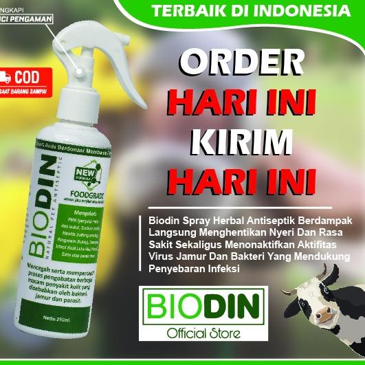 Jual Realpct OBAT PMK PADA SAPI/OBAT SCABIES, JAMUR, DEMODEX, GATAL ...