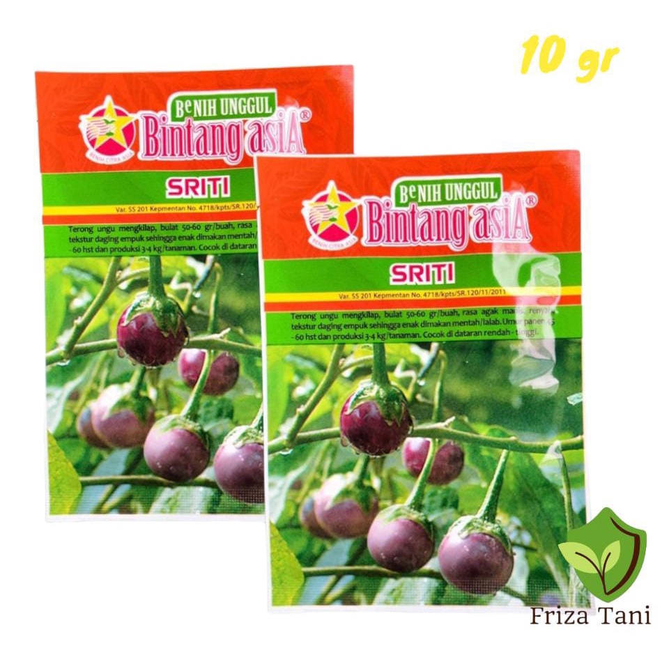 Jual Benih Bibit TERONG UNGU SRITI 10 Gram Bintang Asia 100% Original ...