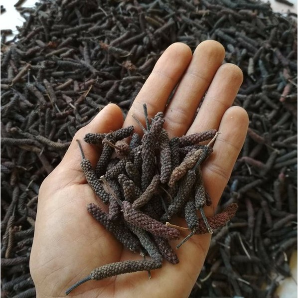 Jual Cabe/Cabai jawa (Java long pepper) | Shopee Indonesia