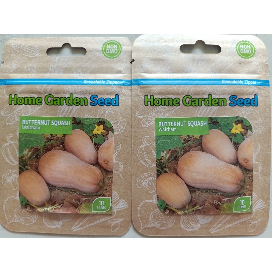 Jual Benih Benih Butternut Squash - Waltham, Labu Butternut | Shopee ...