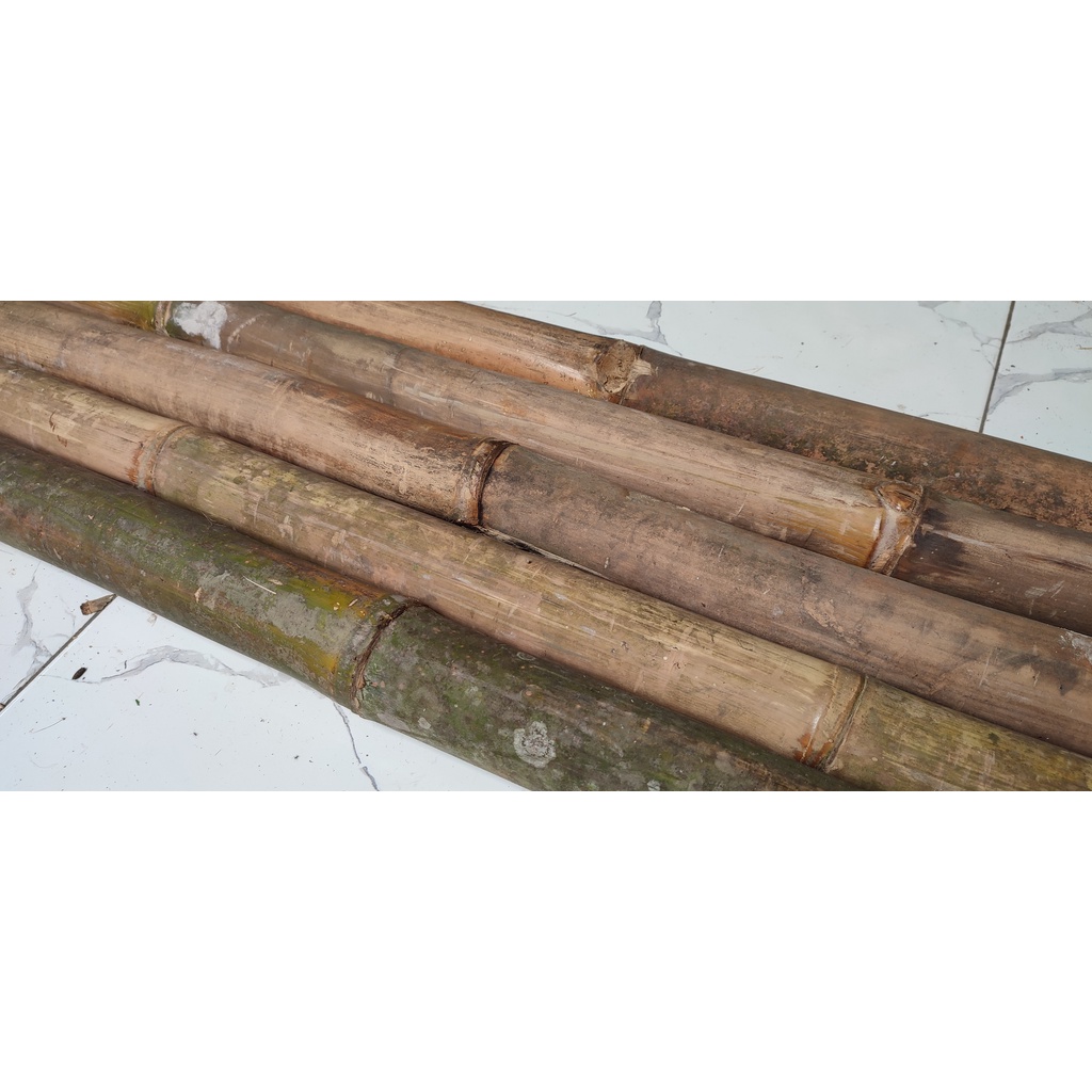 Jual Bambu Apus Asli Panjang 1meter | Shopee Indonesia