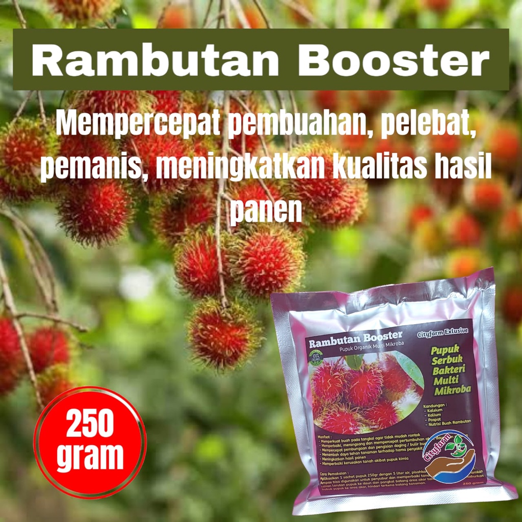Jual Pupuk Booster Rambutan Organik Pelebat Buah Dan Anti Rontok 250gr | Shopee Indonesia