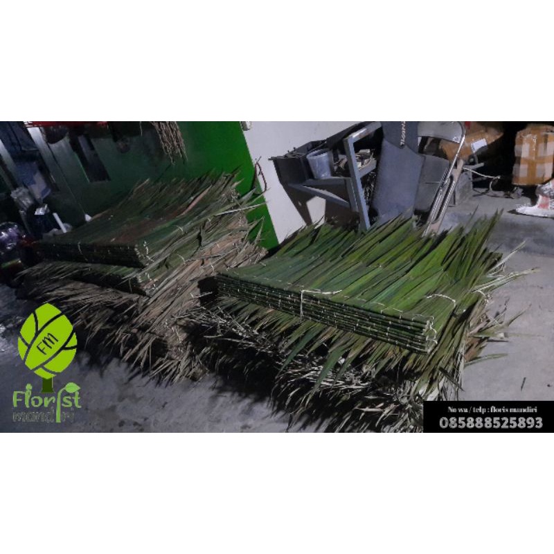 Jual Atap kirai / Atap rumbia / Atap 50pcs | Shopee Indonesia