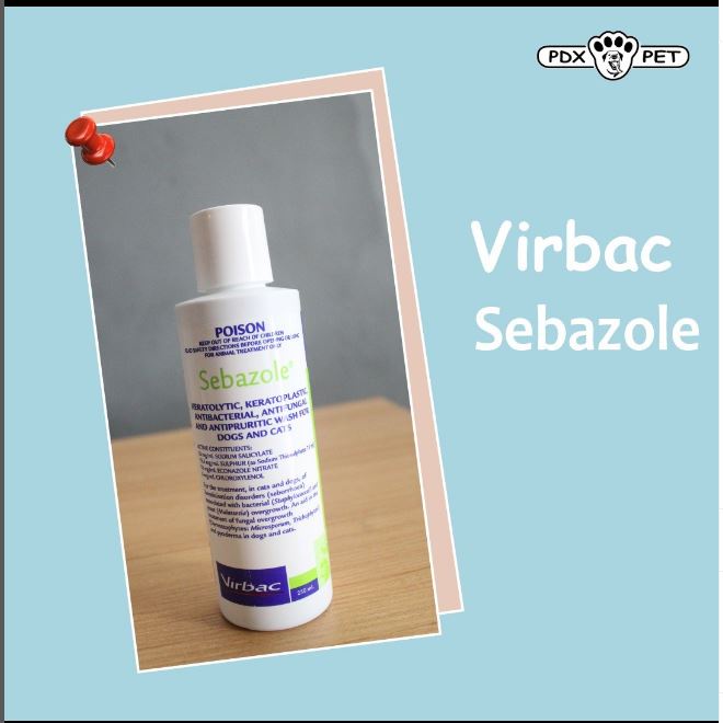 Jual Sebazole 250 ML Shampoo Anjing & Kucing Anti Kutu & Jamur | Shopee ...