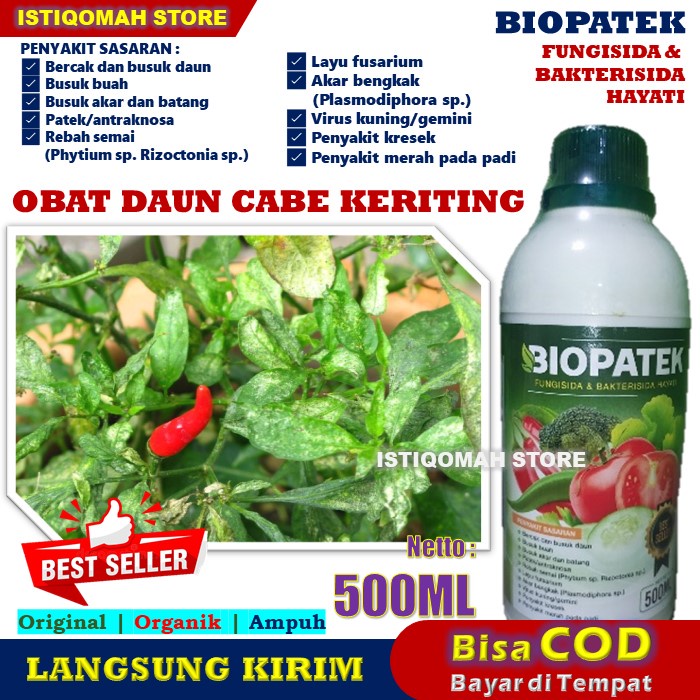 Jual 100% AMPUH Pupuk untuk Cabe Daun Keriting yang Ampuh BIOPATEK ...