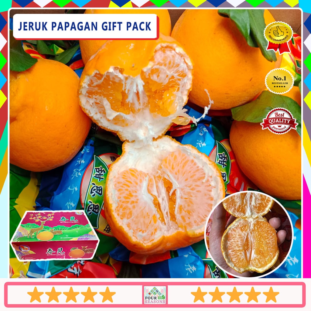 Jual TERLARISSS JERUK PAPAGAN MANIS JUMBO BULIR BESAR KEMASAN 1 BOX ...