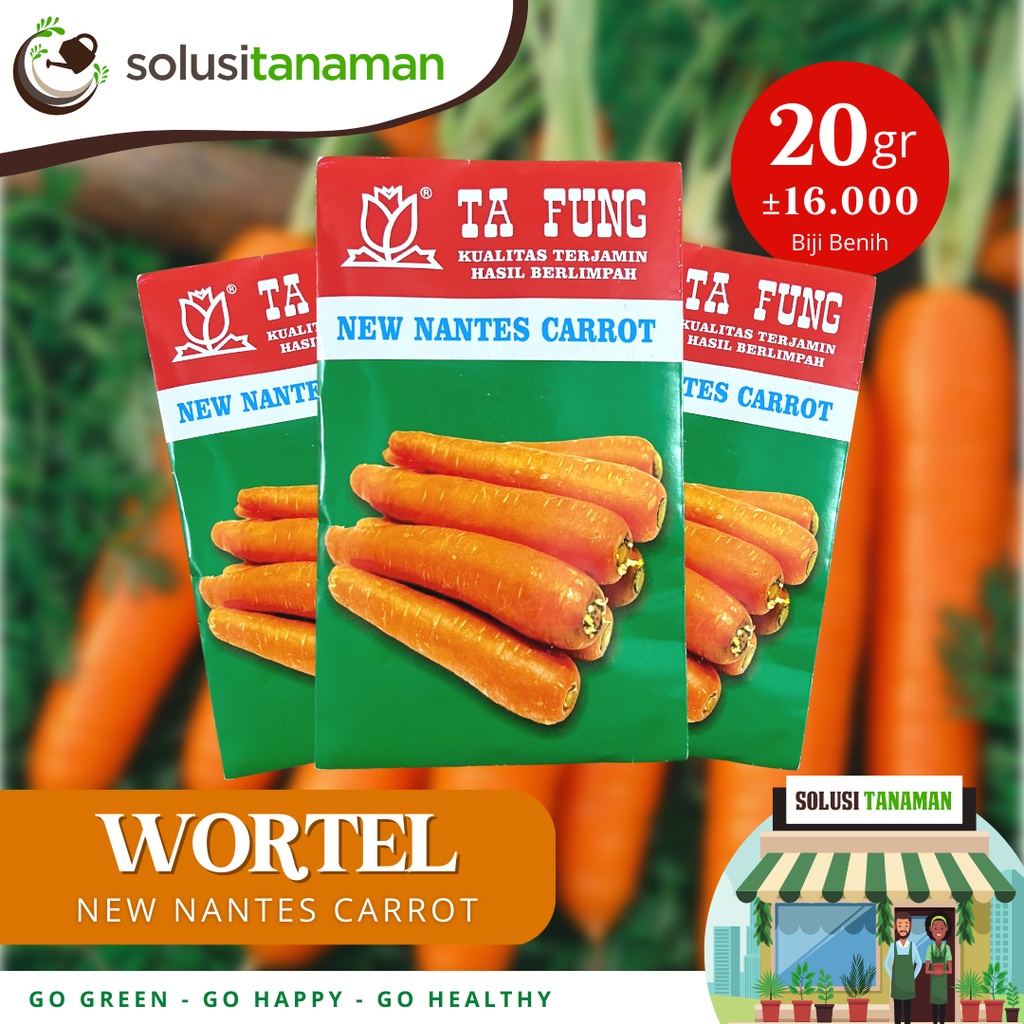 Jual Benih Wortel New Nantes Carrot 20gr (16.000 Biji) Bibit Wortel Ta ...