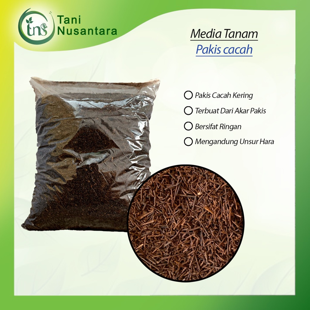 Jual Media Tanam Akar Pakis Cacah Kering 350gr - Tanaman Anggrek ...