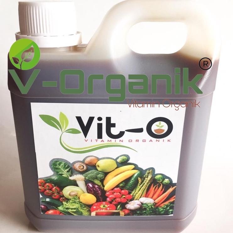 Jual STAR 1000ml/1 Liter VIT-O VIT O VITAMIN TANAMAN SUPER VITAMIN ORGANIK | Shopee Indonesia