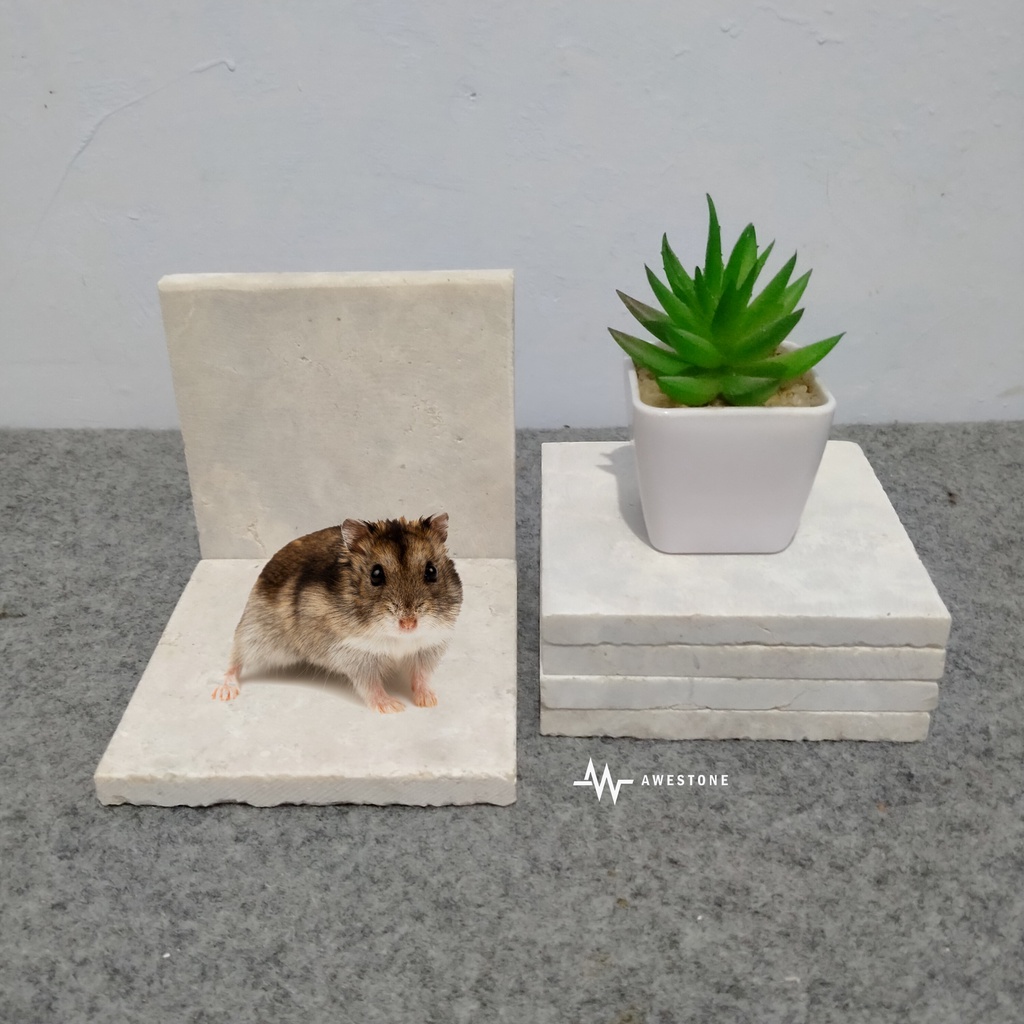 Jual Cooling Pad hamster | 10cm x 10cm | Marble 100% | Shopee Indonesia