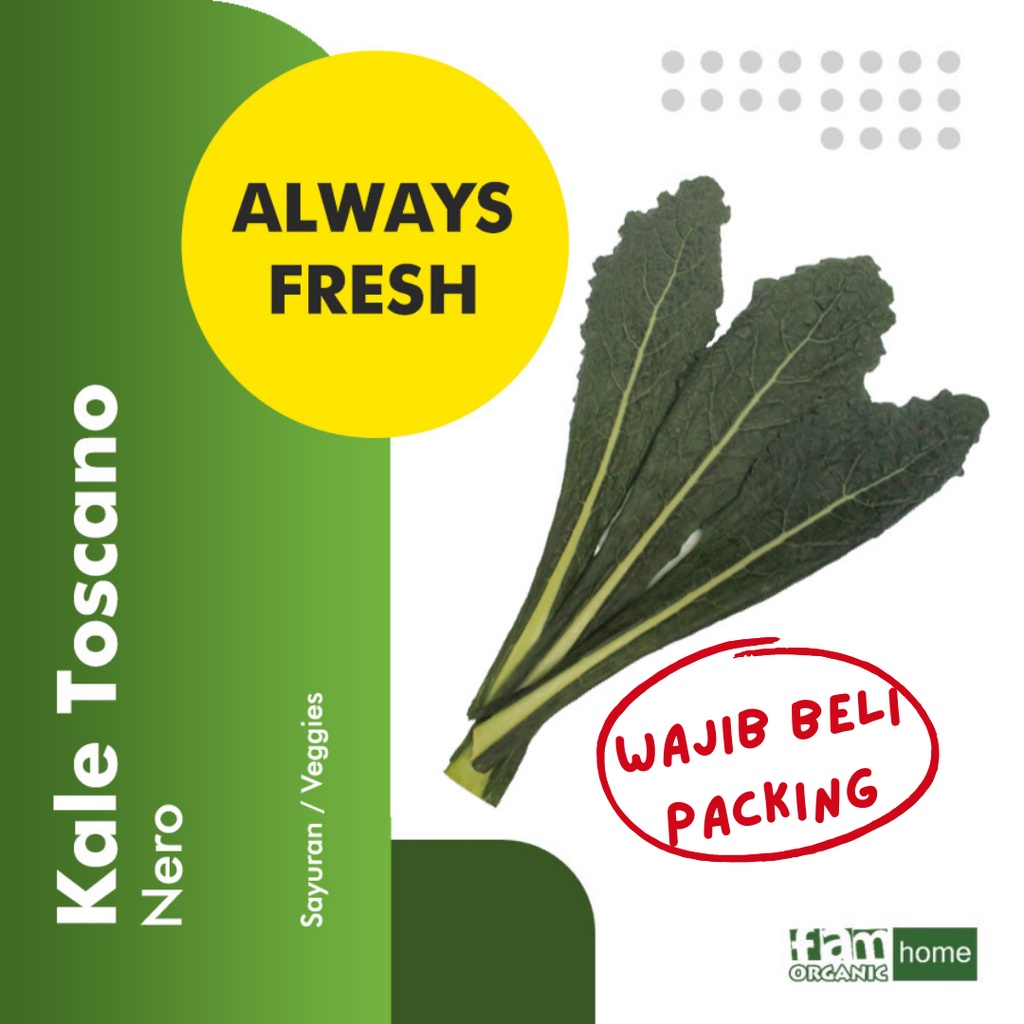 Jual Kale Toscano / Kale Nero FAM Organik Sayur Segar Fresh Vegetable | Shopee Indonesia