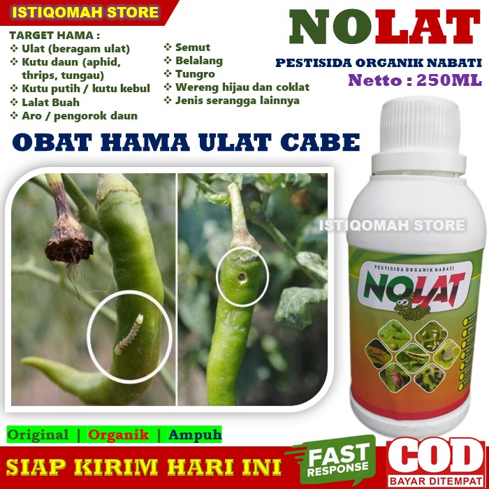 Jual Obat Hama Ulat Cabe Ampuh NOLAT 250ML Pestisida Organik Nabati ...