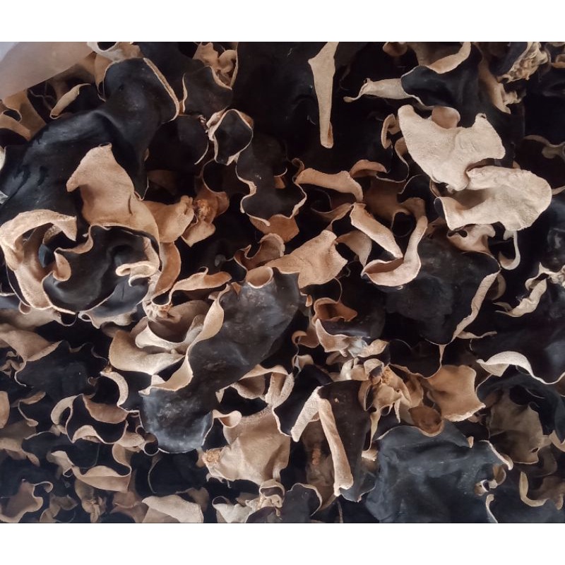 Jual Jamur kuping kering hitam super grade A 1kg | Shopee Indonesia