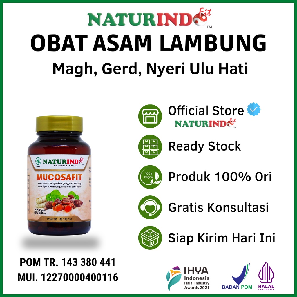 Jual Obat Asam Lambung Herbal Ampuh Magh Maag Kronis Akut Gerd Nyeri ...