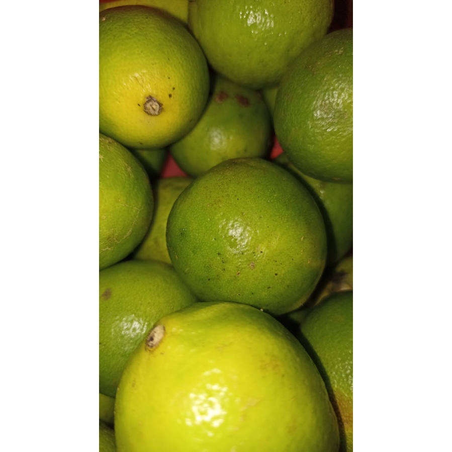 Jual JERUK NIPIS KUNING FRESH 1KG | Shopee Indonesia